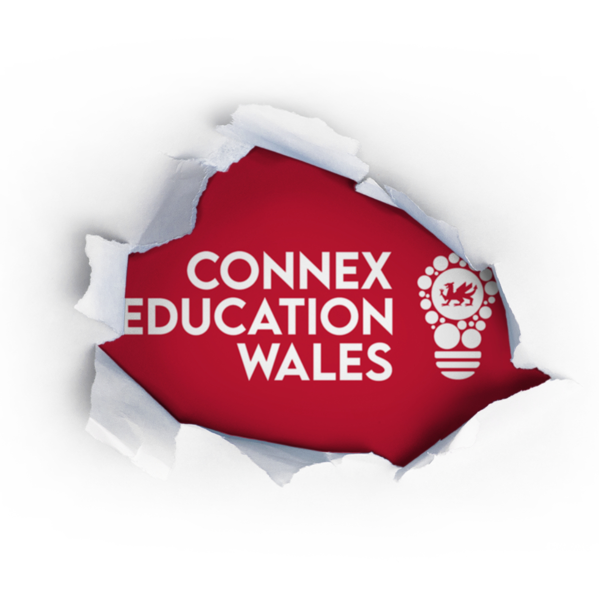 Education Staffing Partnership becomes Connex Education Wales