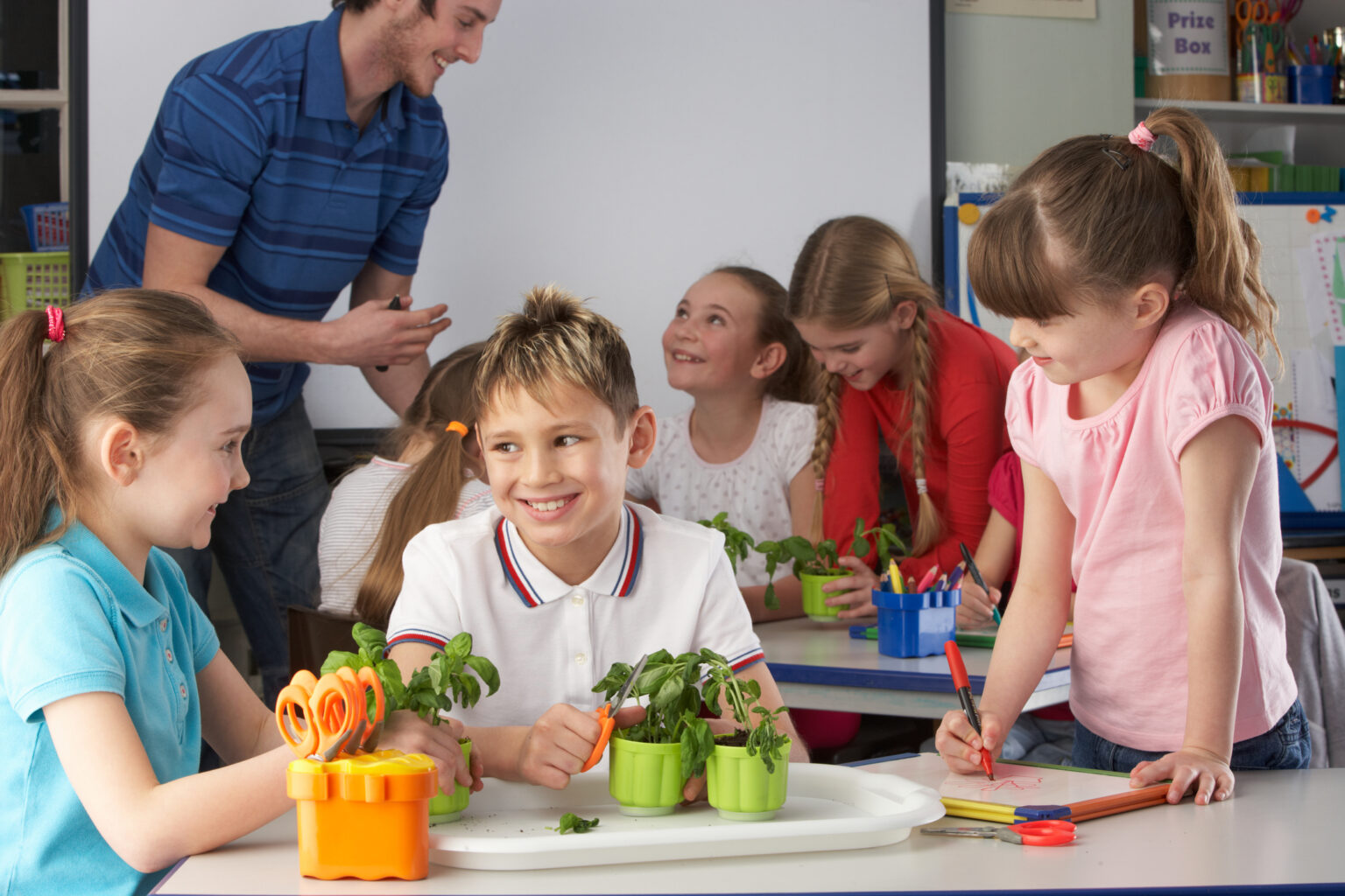 5 Reasons to Become a Teaching Assistant | Connex Education